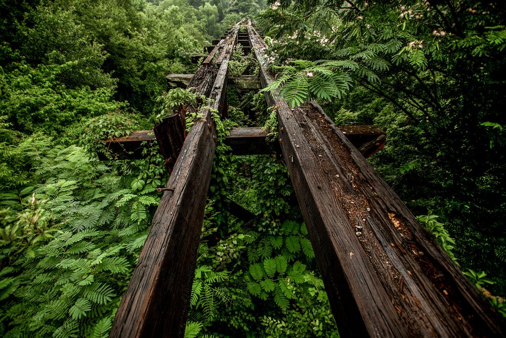 Jason Thrasher - Murmur Trestle - Lowe Mill ARTS & Entertainment