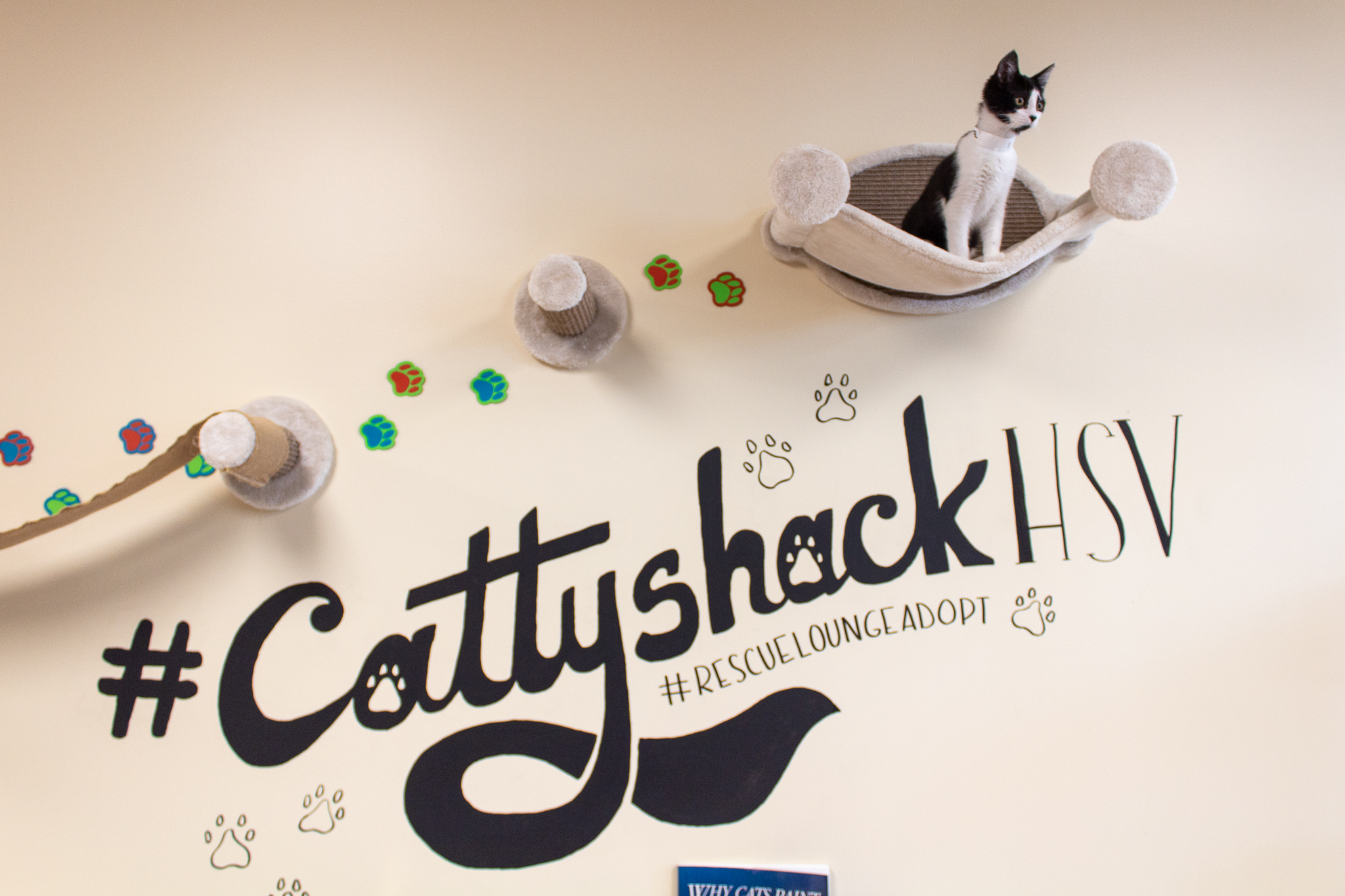 CATTYSHACK | STUDIO 1062 - Lowe Mill ARTS & Entertainment